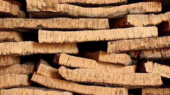 El sector del corcho producirá este año un 25% más | Hoy